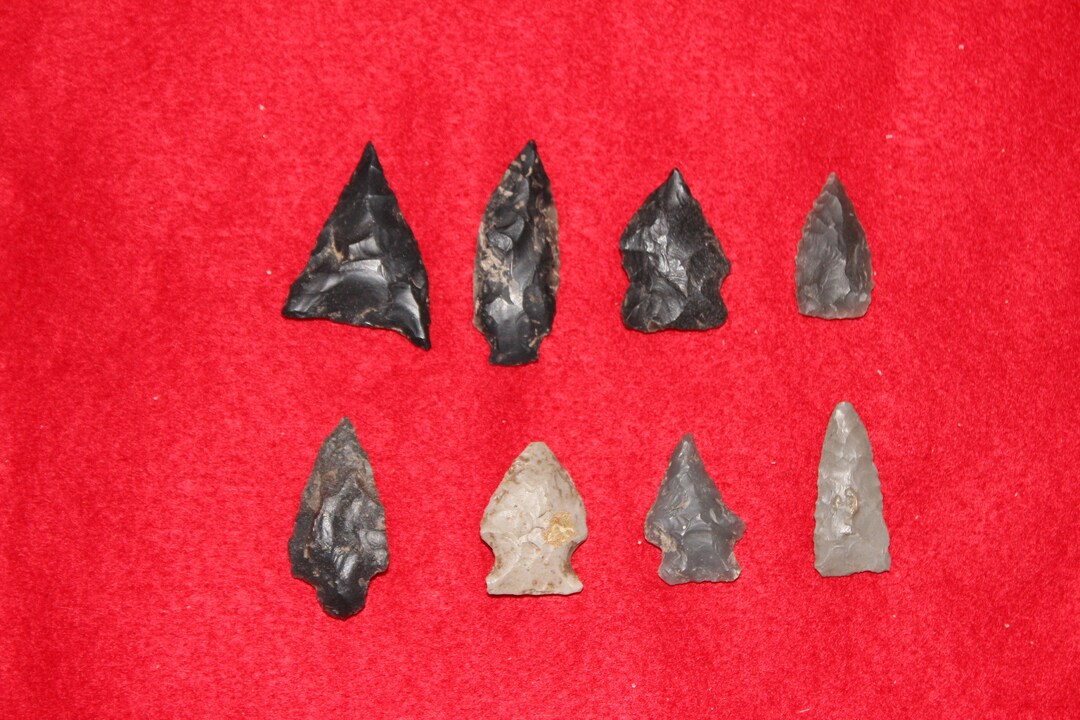 Here Are 8 Very Nice Dart Arrowheads From East Tennessee. - Etsy