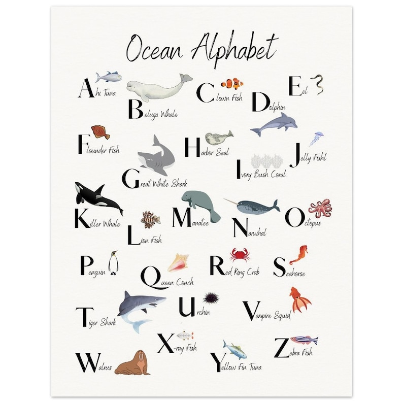 Ocean Alphabet Poster - Etsy