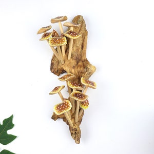 Hand Painted Wooden Mushroom Wall Deco, Colorful Mushroom Art, Wall ...