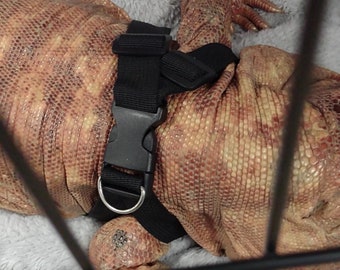 Leopard Gecko Small Lizard Harness - Etsy