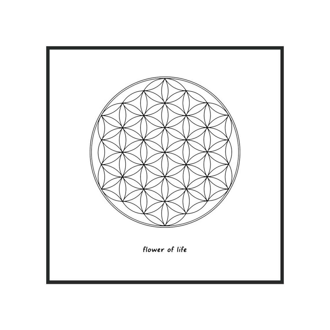 Sacred Geometry/ Seed of Life/ Germ of Life/ Flower of Life ...