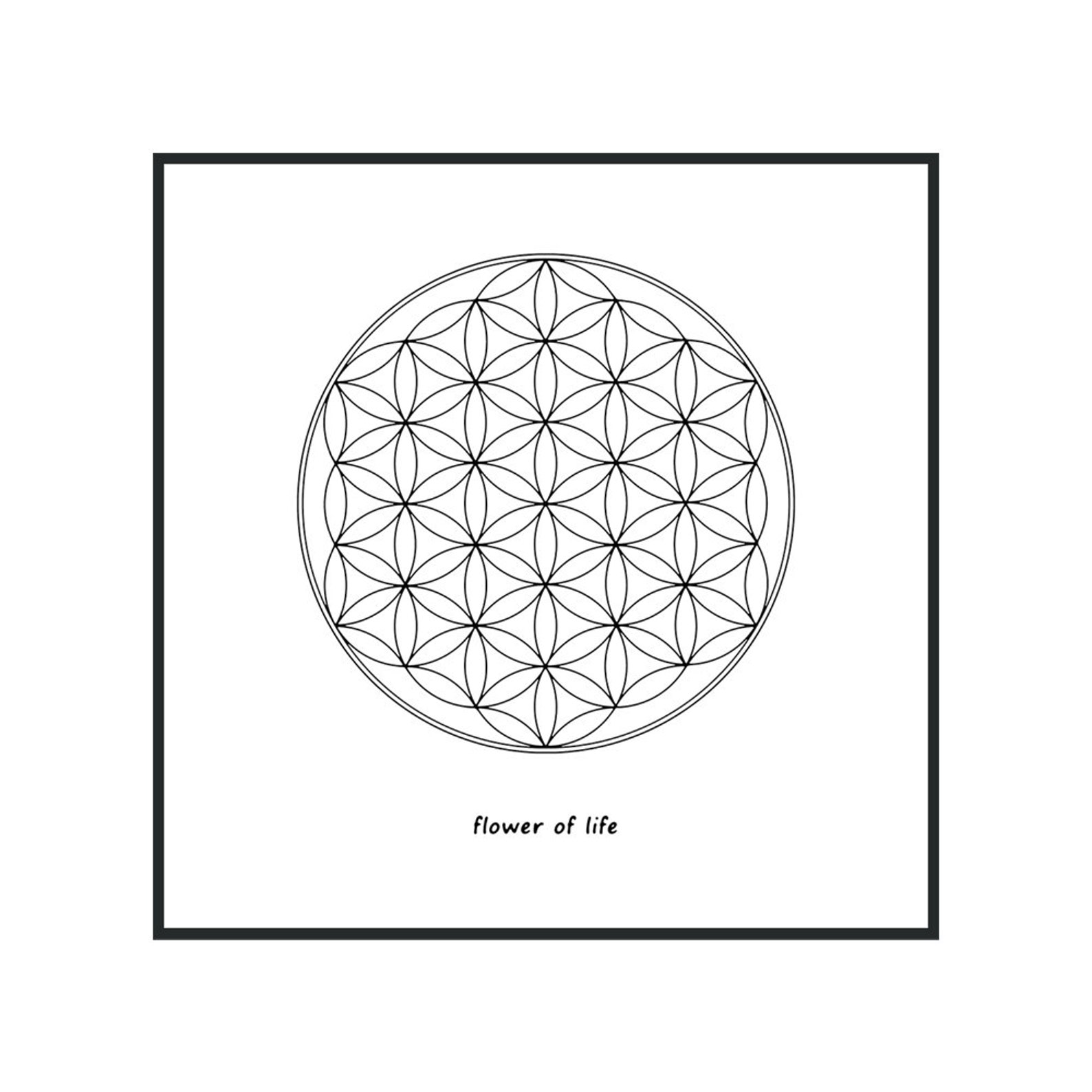 Sacred Geometry/ Seed of Life/ Germ of Life/ Flower of Life ...