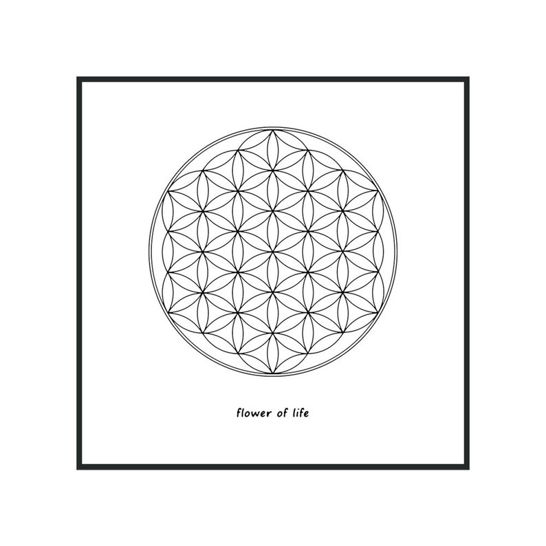Sacred Geometry/ Seed of Life/ Germ of Life/ Flower of Life ...