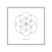 Sacred Geometry/ Seed of Life/ Germ of Life/ Flower of Life ...
