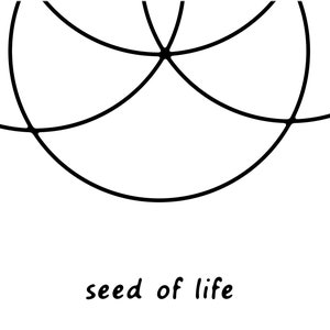 Sacred Geometry/ Seed of Life/ Germ of Life/ Flower of Life ...