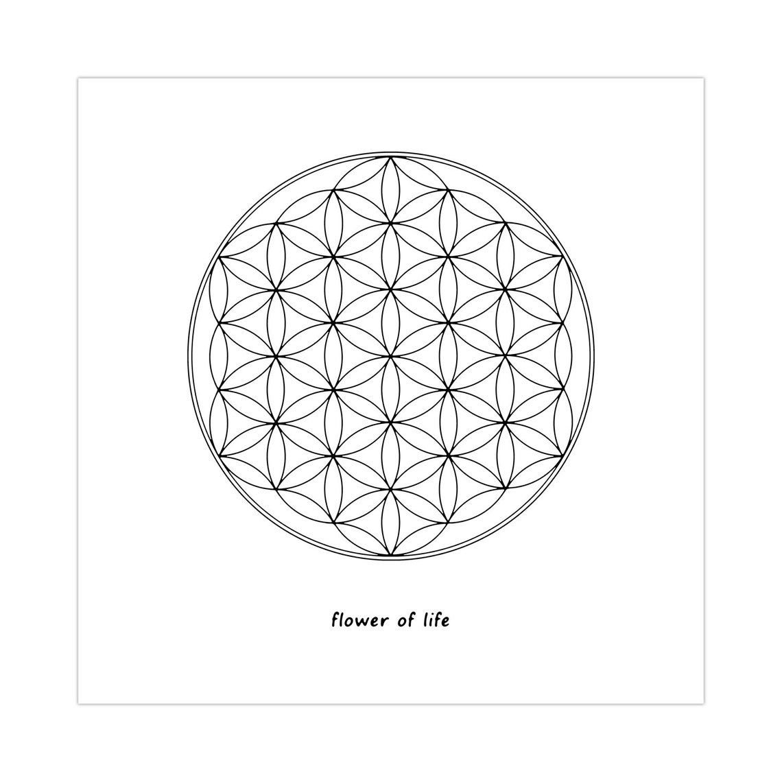 Sacred Geometry/ Egg of Life/ Fruit of Life/ Seed of Life/ Germ of Life ...