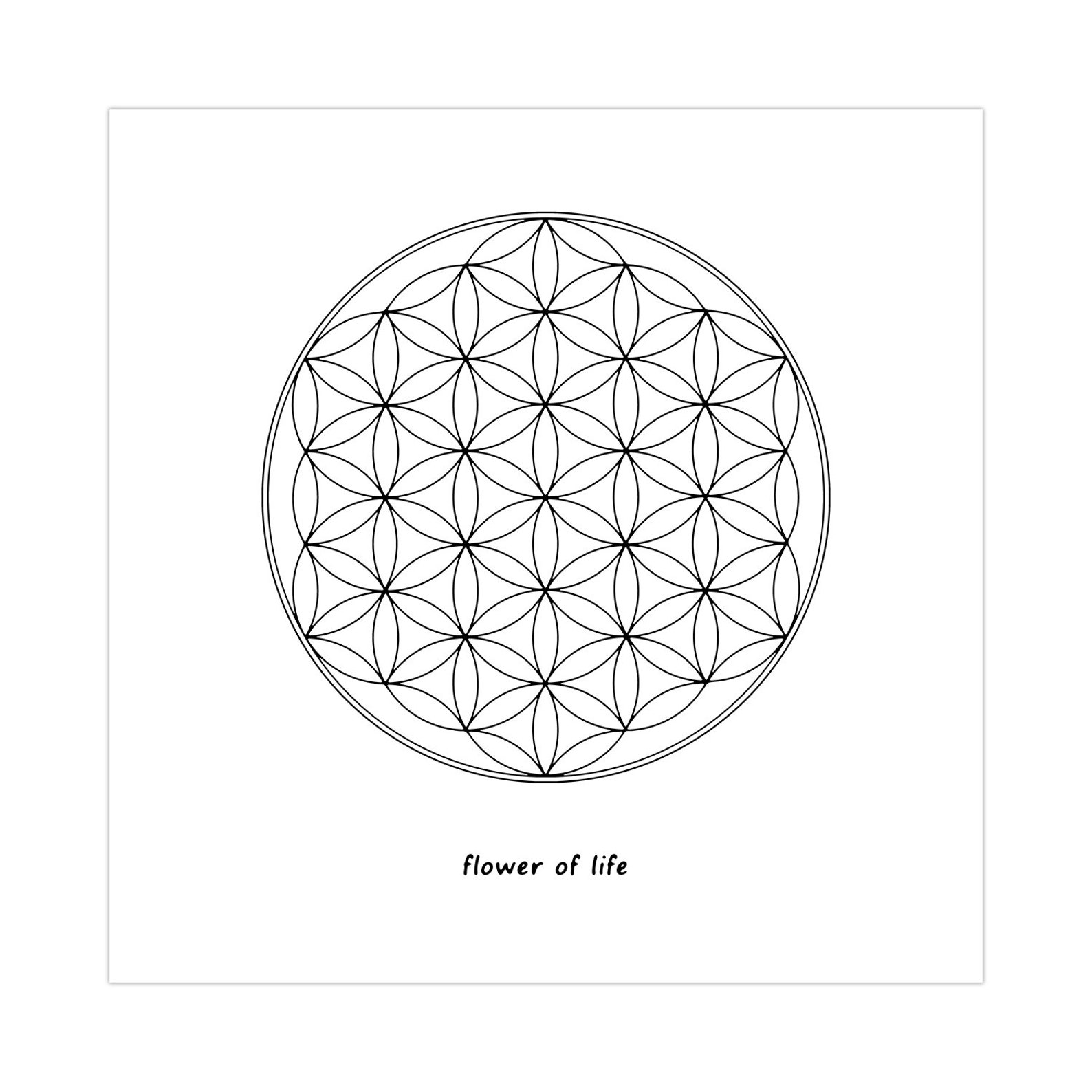 Sacred Geometry/ Egg of Life/ Fruit of Life/ Seed of Life/ Germ of Life ...