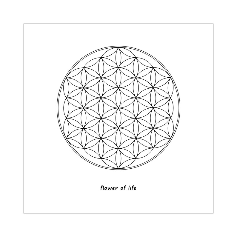 Sacred Geometry/ Egg of Life/ Fruit of Life/ Seed of Life/ Germ of Life ...