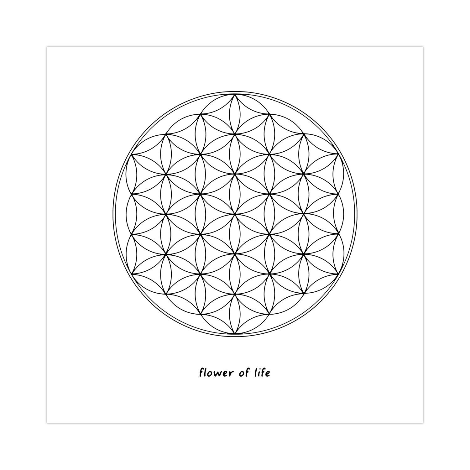 Sacred Geometry/ Egg of Life/ Fruit of Life/ Seed of Life/ Germ of Life ...