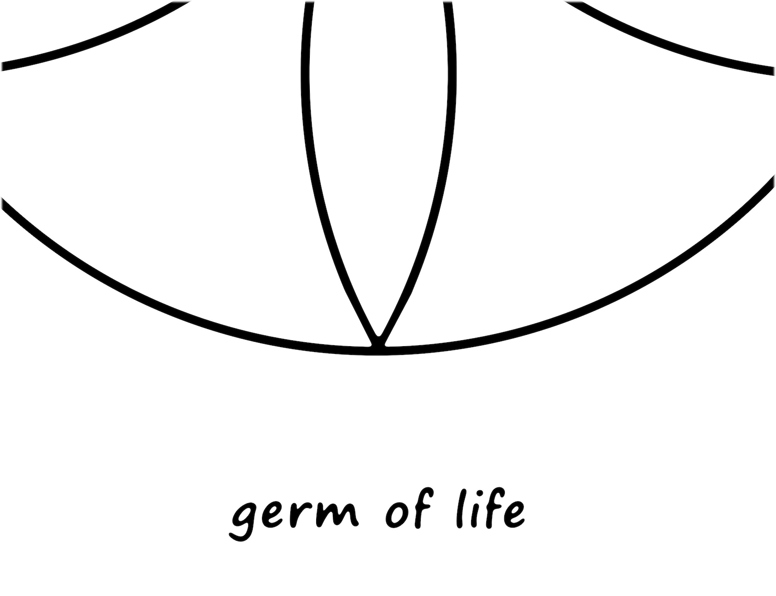 Sacred Geometry/ Seed of Life/ Germ of Life/ Flower of Life ...