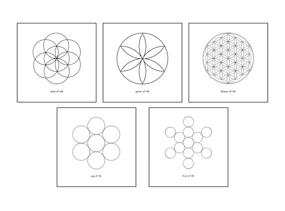 Sacred Geometry Fruit Of Life