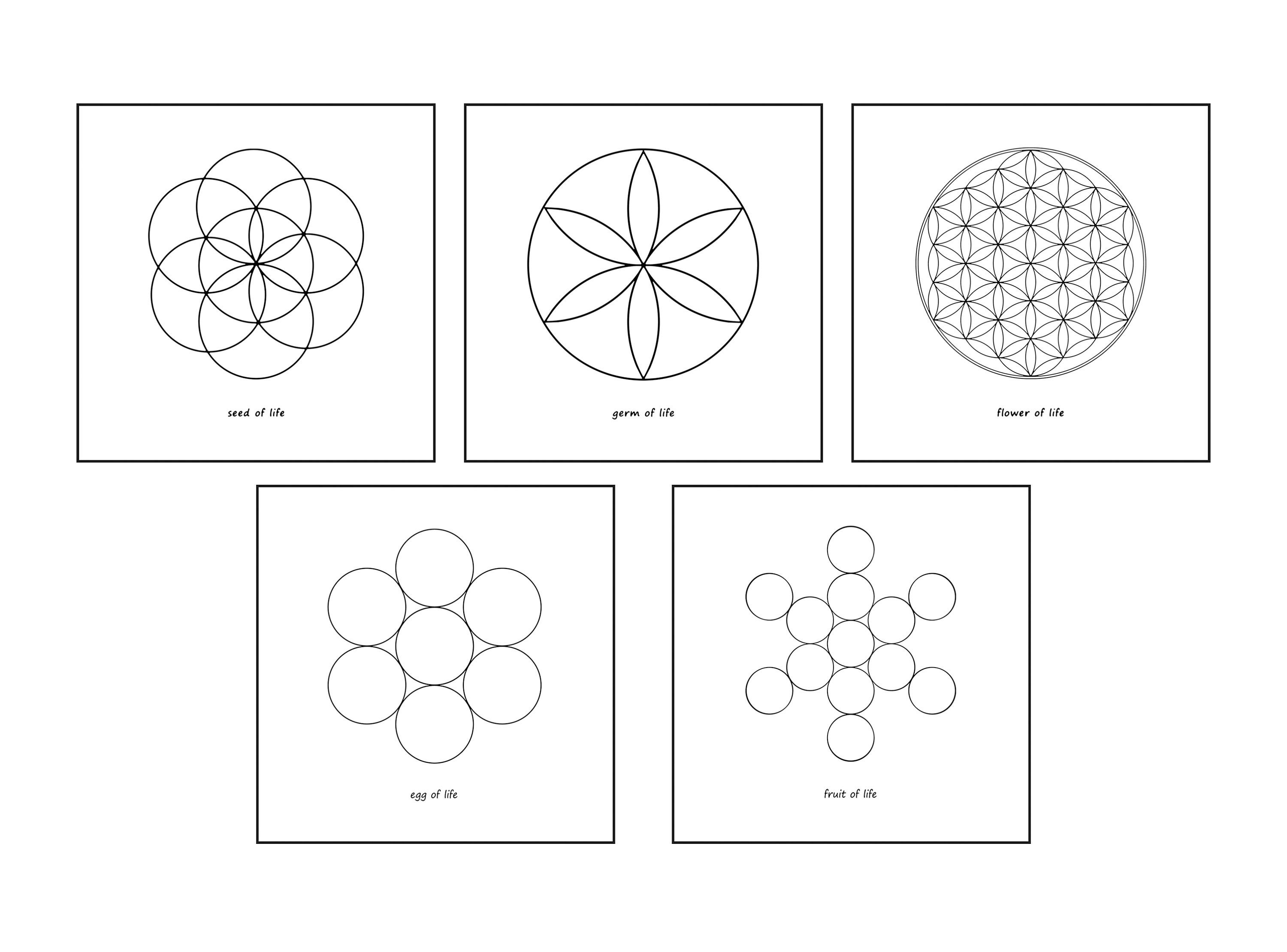 Sacred Geometry/ Egg of Life/ Fruit of Life/ Seed of Life/ Germ of Life ...