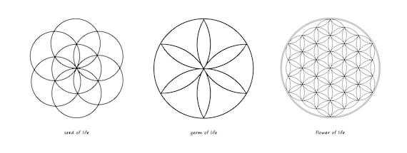 Sacred Geometry/ Seed of Life/ Germ of Life/ Flower of Life/ - Etsy ...