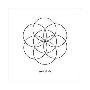 Sacred Geometry/ Egg of Life/ Fruit of Life/ Seed of Life/ Germ of Life ...