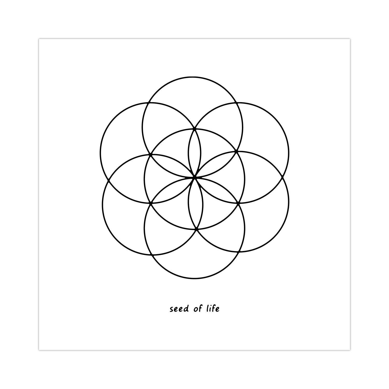 Sacred Geometry/ Egg of Life/ Fruit of Life/ Seed of Life/ Germ of Life ...