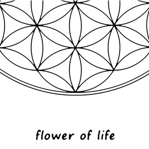 Sacred Geometry/ Seed of Life/ Germ of Life/ Flower of Life ...