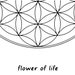 Sacred Geometry/ Seed of Life/ Germ of Life/ Flower of Life ...