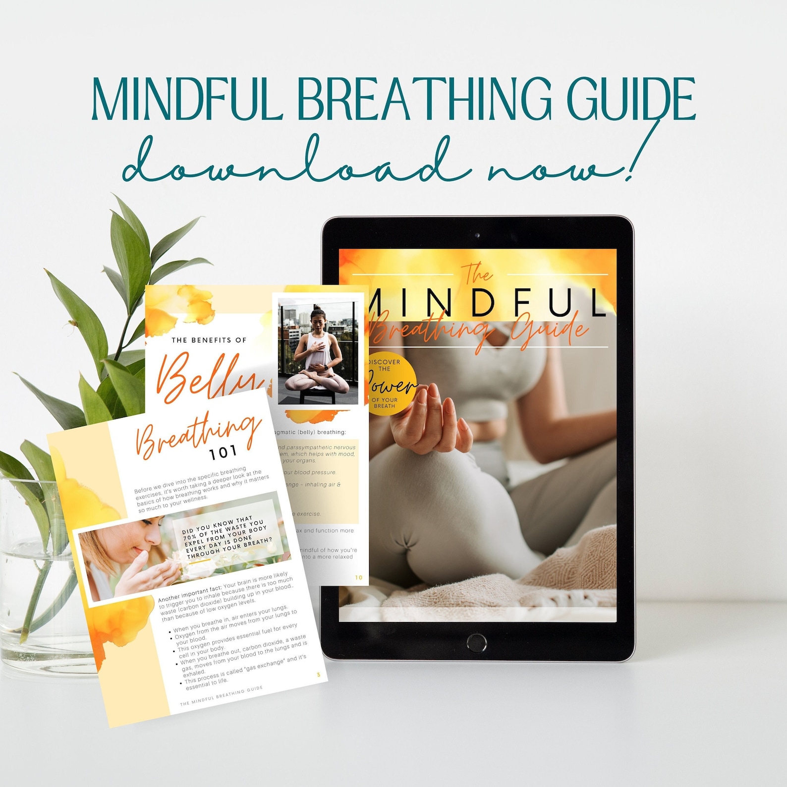 Mindful Breathing Exercises Guide, Relaxation Techniques (PDF Download ...
