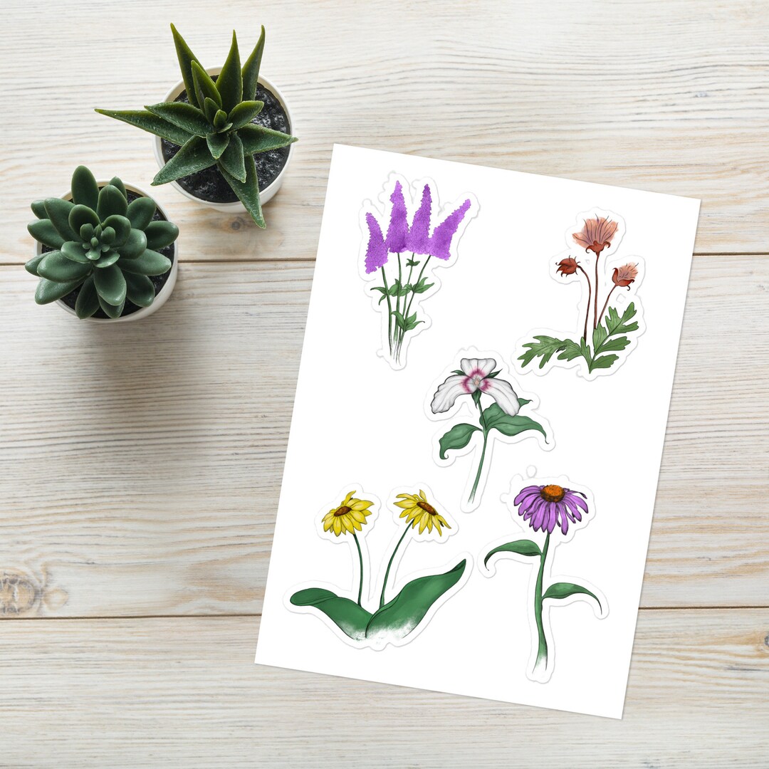 Wildflower Illustration Sticker Sheet - Etsy