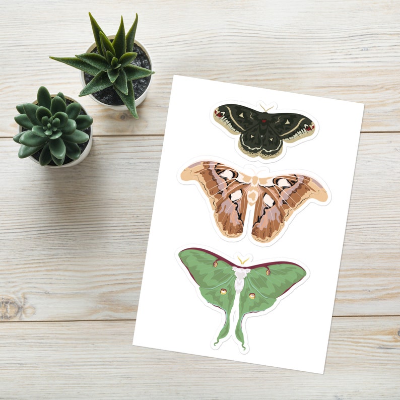 Illustrated Moth Sticker Sheet - Etsy