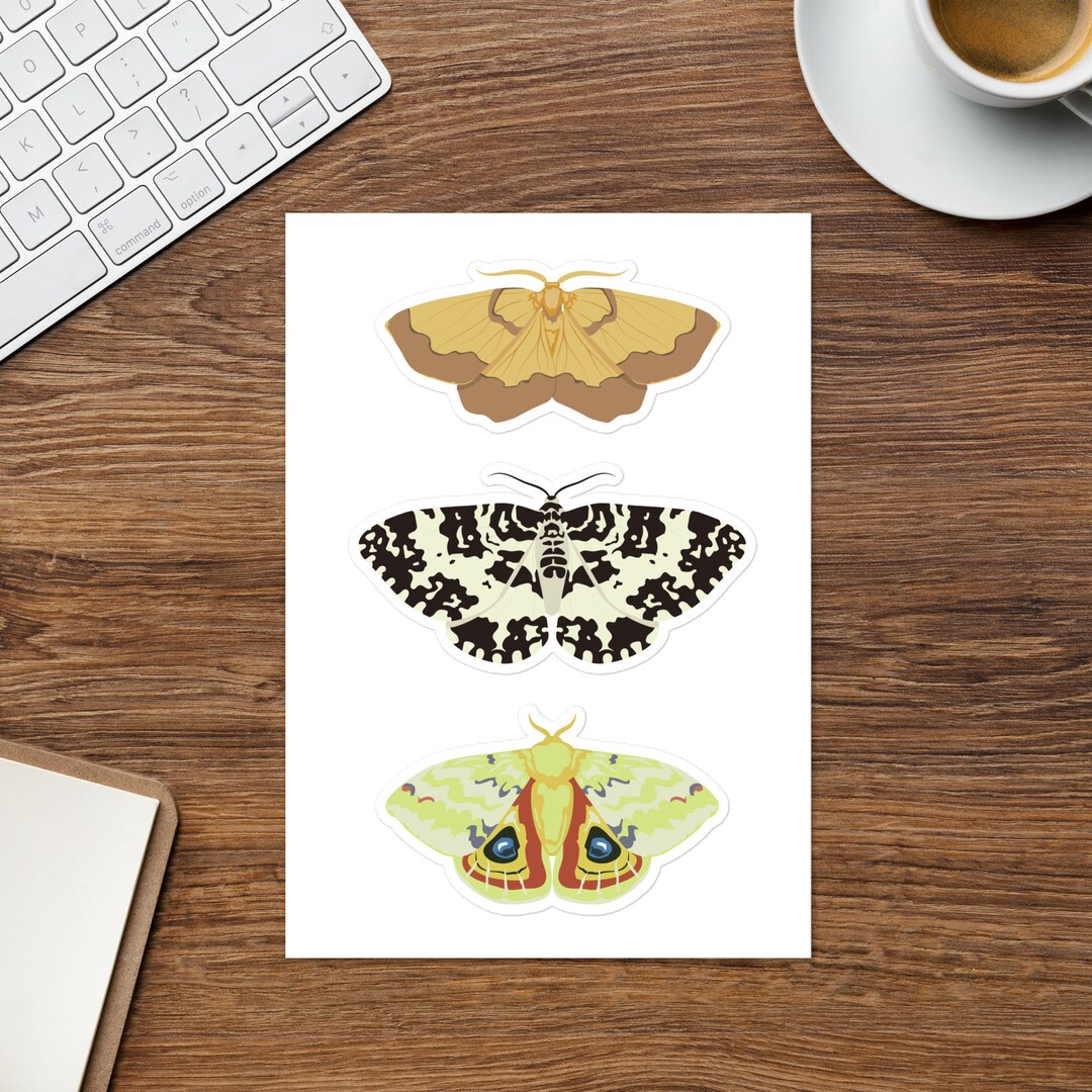 Illustrated Moth Sticker Sheet - Etsy