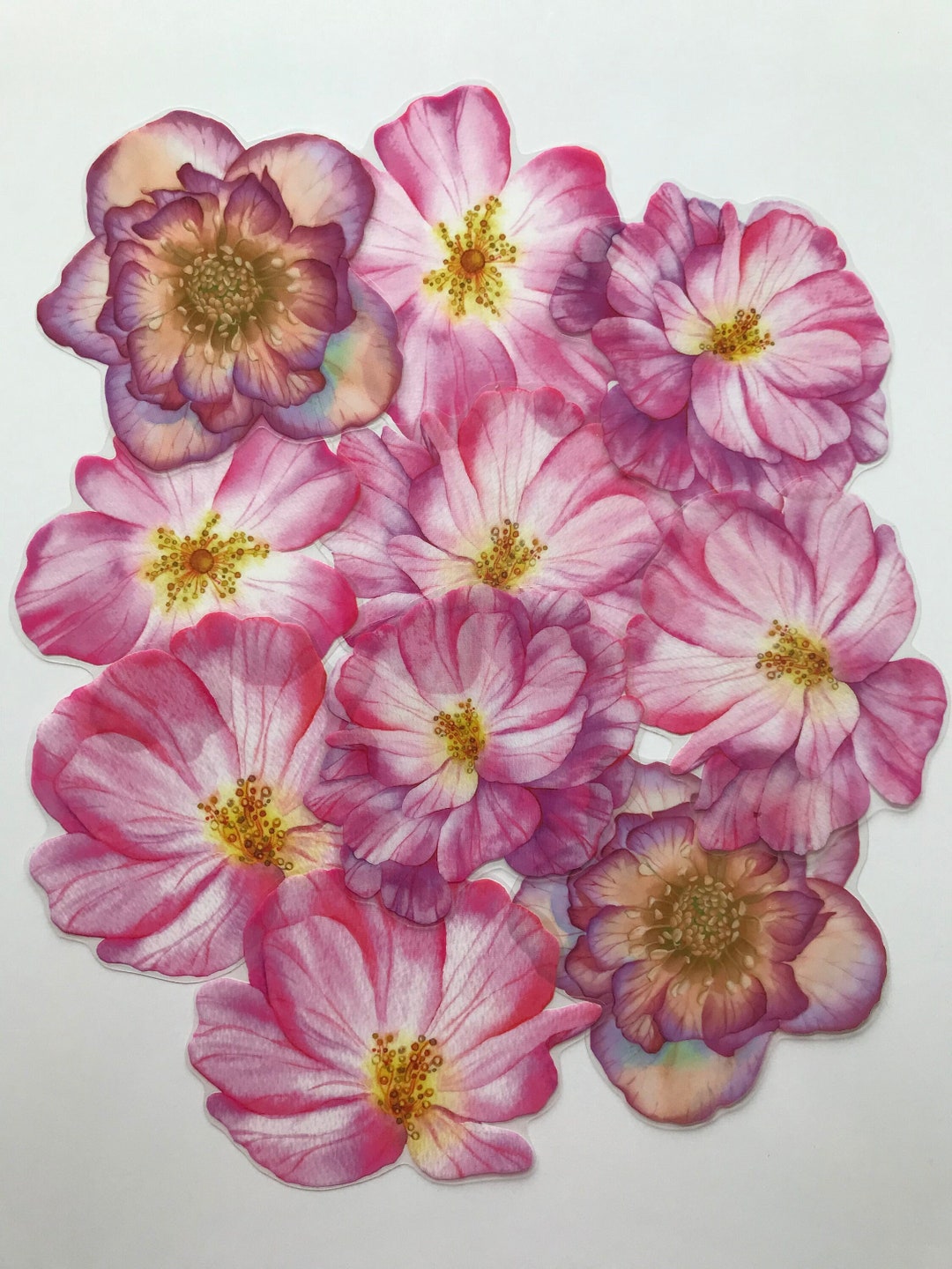 10 Large Pink Flower Transparent Stickers/ Floral Scrapbook Stickers ...