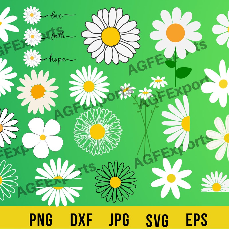 Daisy Svg - Etsy