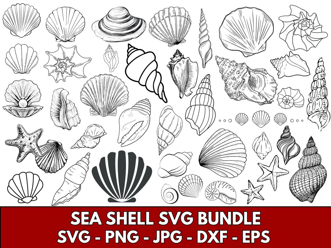 High Quality Sea Shell SVG Bundle, Sea Shell Dxf, Sea Shell Png, Sea ...