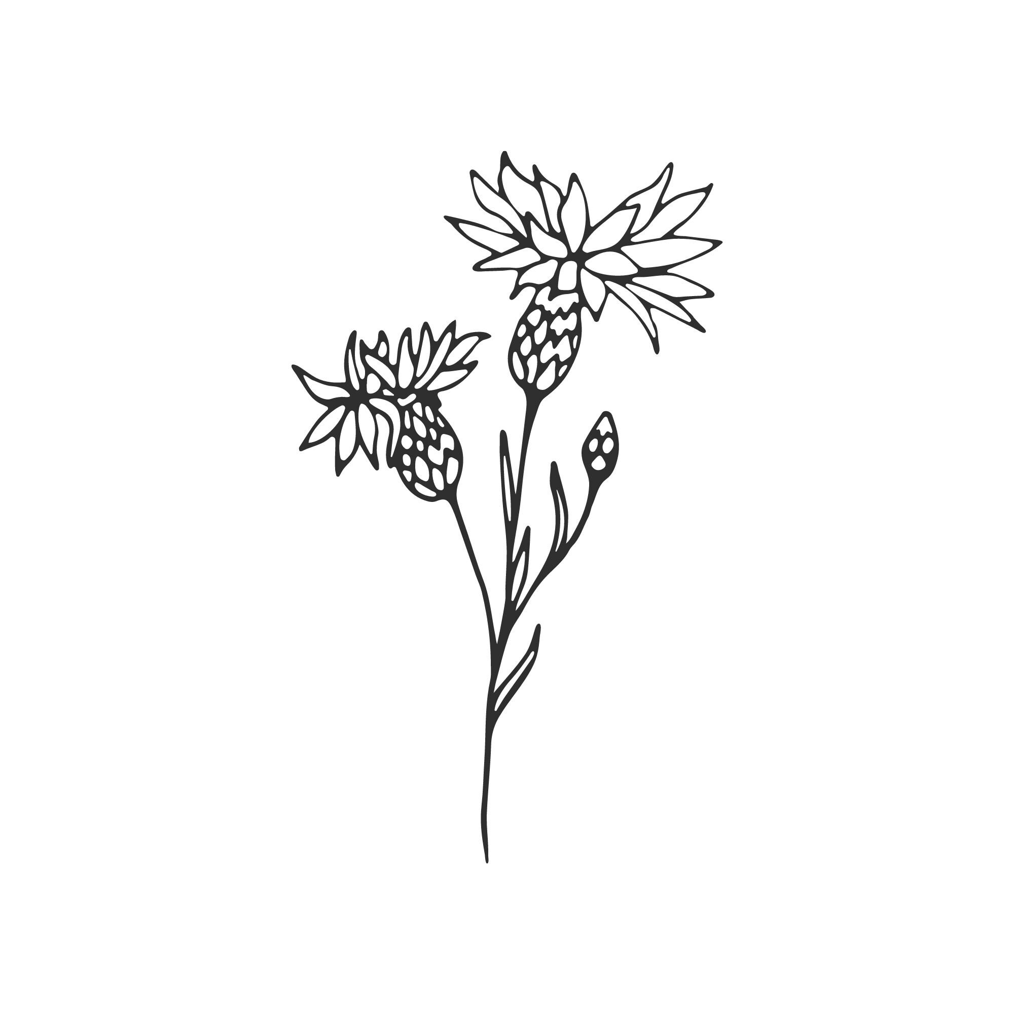 Floral Line Art: Hand-drawn Flower Vector Clipart (digital Download) - Etsy