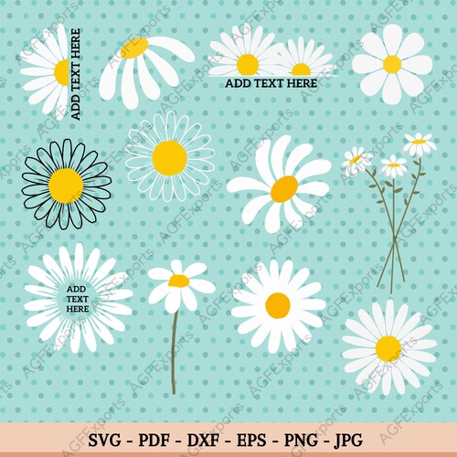 Daisy Bundle Svg Png Dxf - Etsy