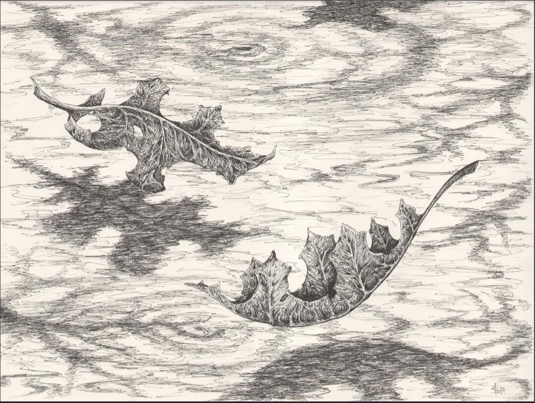 Falling Leaves - Pen and Ink Illustration - Etsy