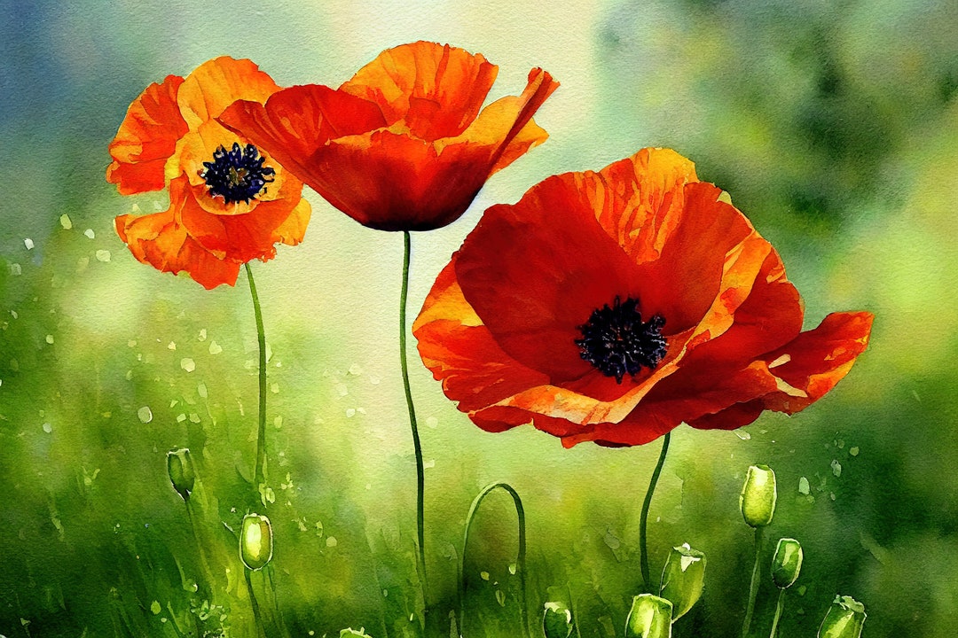 Poppy Watercolor Print Digital Download - Poppy Art Minimalist Decor ...