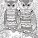 Fun Owl Coloring Book With 200 Kid Adult Coloring Pages Digital ...