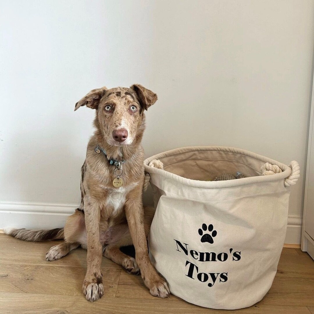 Personalised Embroidered Pet Paw Canvas Toy Basket Bag, Dog Toy Basket ...