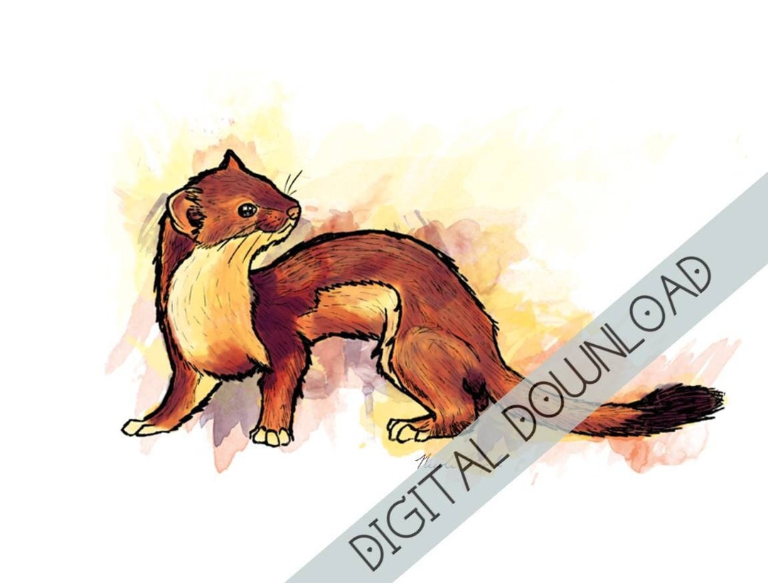 Little Weasel Art Print PRINTABLE DOWNLOAD - Etsy