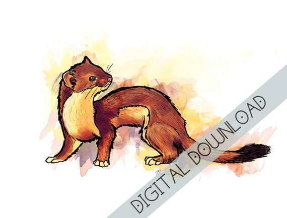 Little Weasel Art Print PRINTABLE DOWNLOAD | Etsy