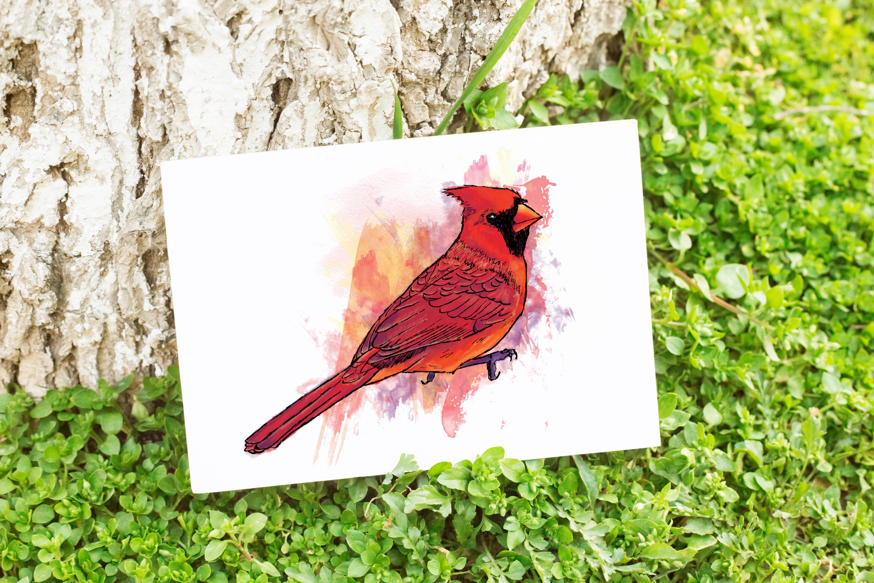 Watercolor Cardinal Bird Art Print - Etsy