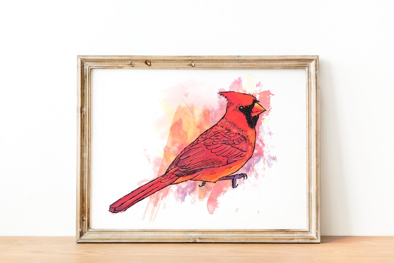 Watercolor Cardinal Bird Art Print - Etsy