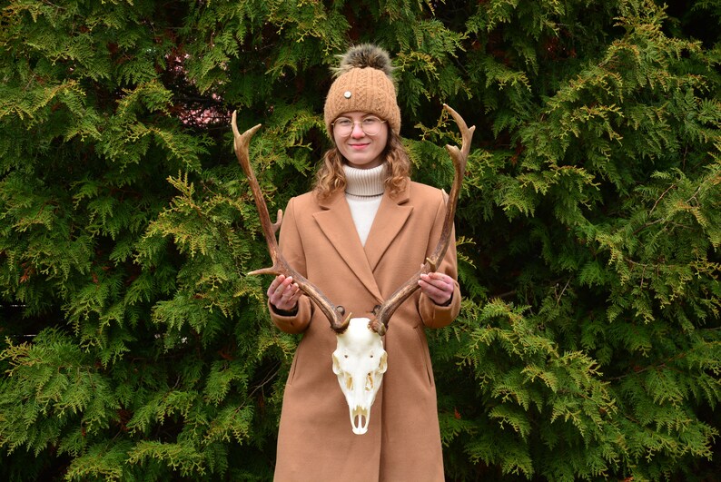 Fallow Deer Skull Fallow Deer dama Dama Unique Mount - Etsy