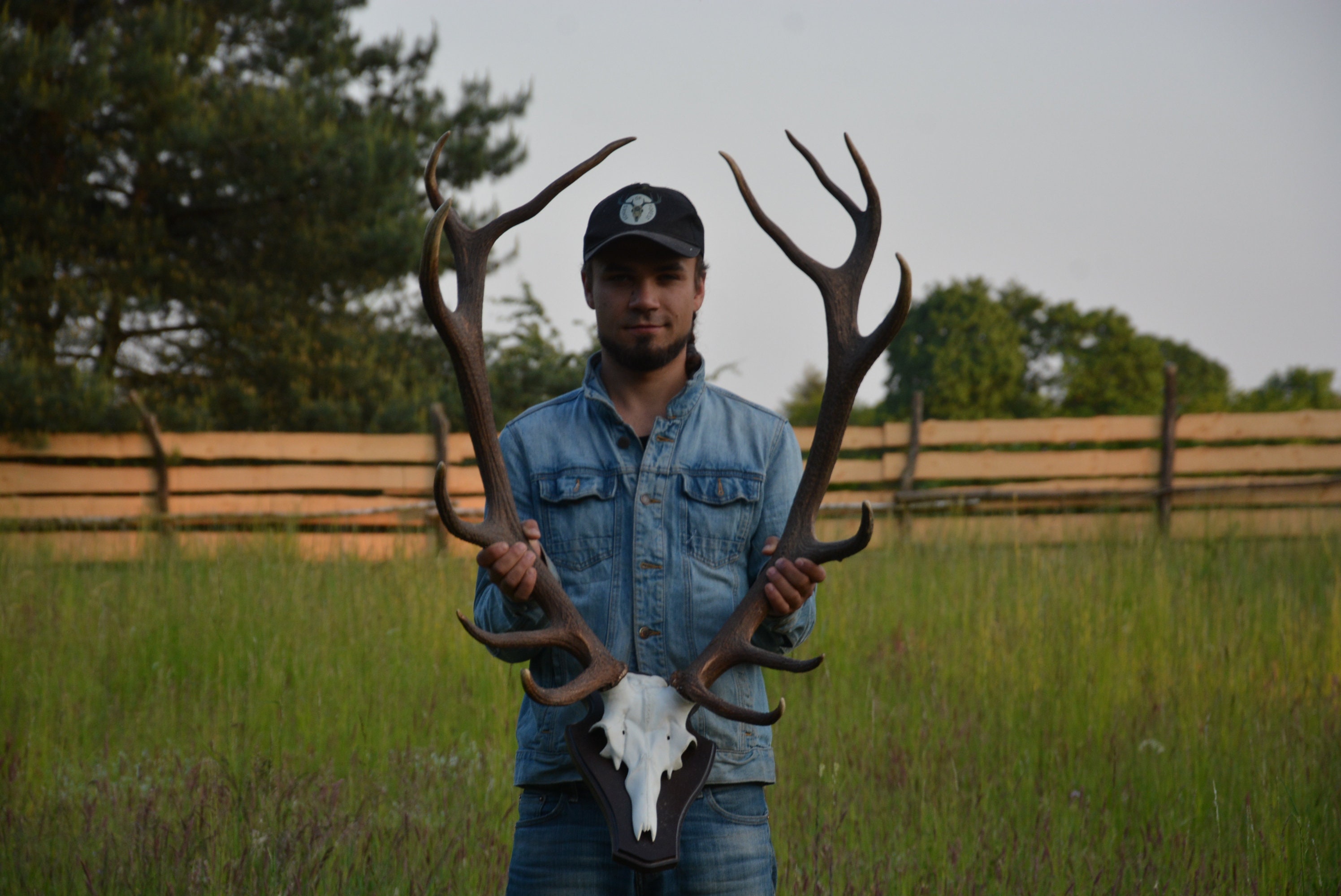 Red Deer Skull cervus Elaphus Self-montage Kit Perfect Wall - Etsy