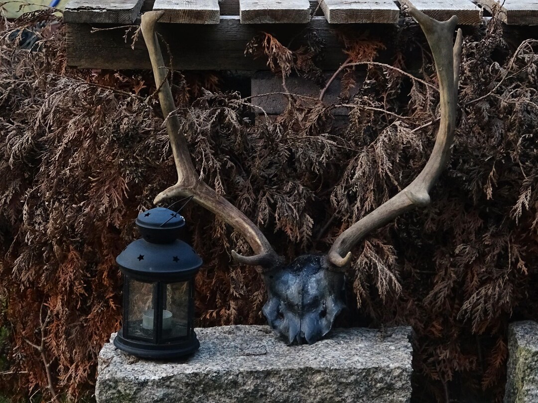 Black Fallow Deer Skull Wreath: Gothic Medieval Wall Decor - Etsy