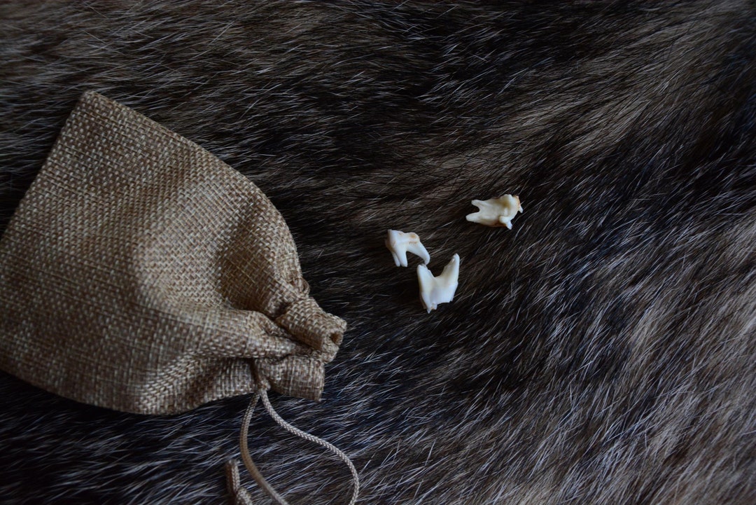 3x ROE DEER TEETH Natural - Uniquely Packaged in a Rustic Jute Bag ...