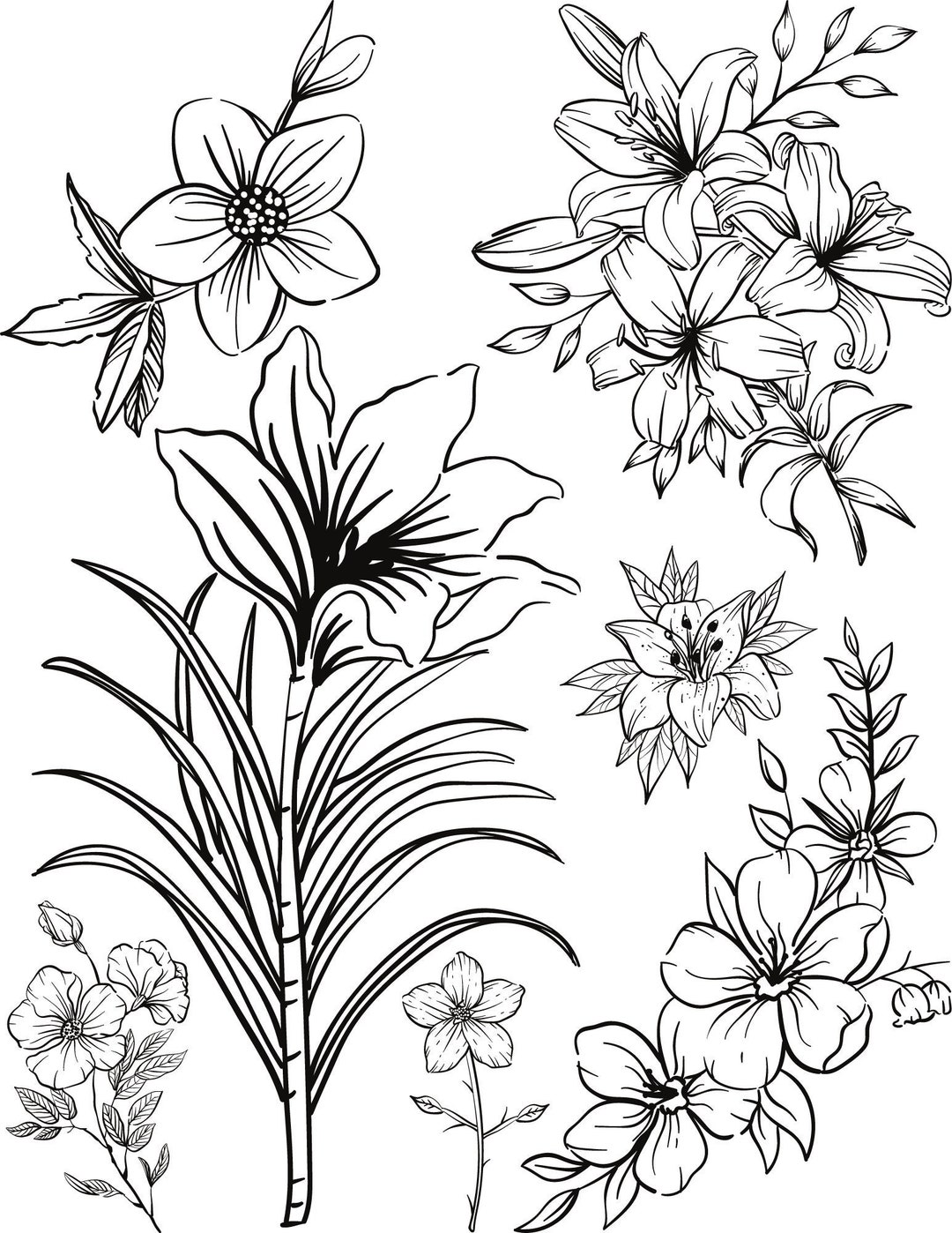 Flower Coloring Page - Etsy