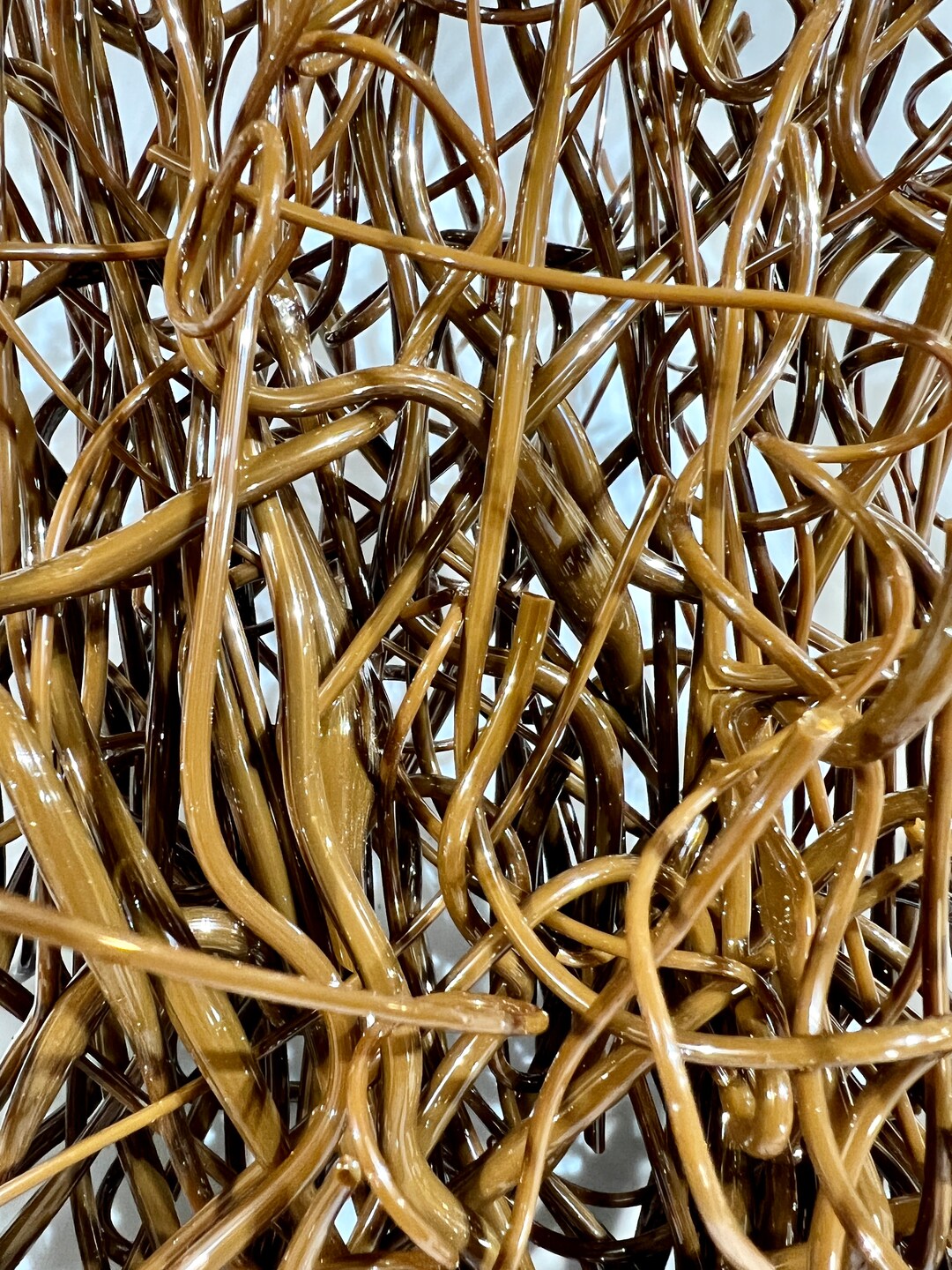 COE90 Woodland Brown Opal Vitrigraph 3 Oz Package - Etsy