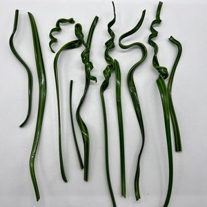 COE90 Mixed Green PREMIUM Vitrigraph Ribbons for Fused Glass Projects ...