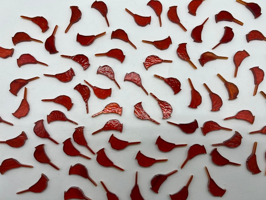 COE90 Mini Cardinal Set Cut on 3mm Red Transparent Fusible Art Glass! 4 ...