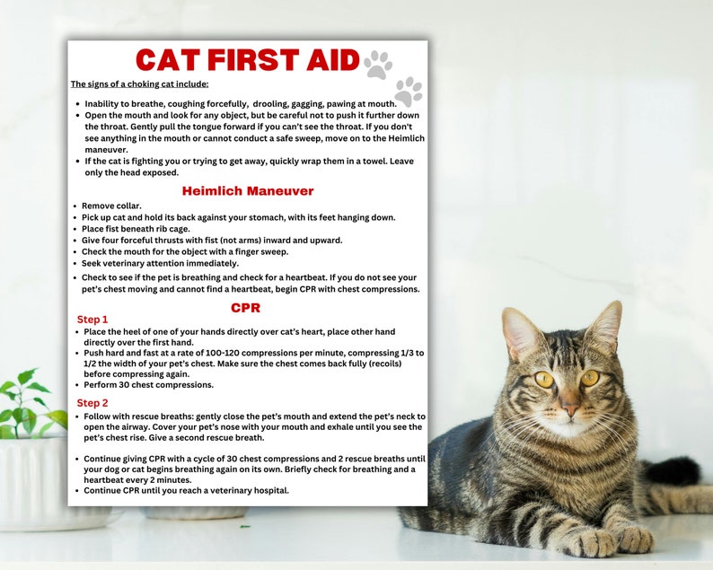 Cat First Aid Instructional Printable | Digital Download - Etsy