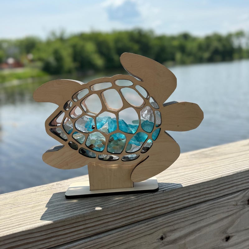 Sea Shell Turtle Pictures - Etsy