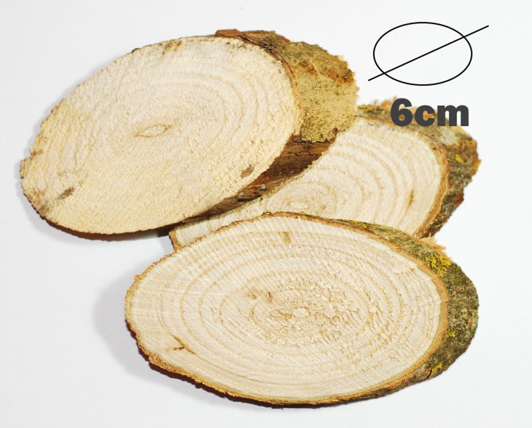 Wooden Discs Oval 60 Mm 10 Pieces Tree Discs Woodwork Wood Decoration ...