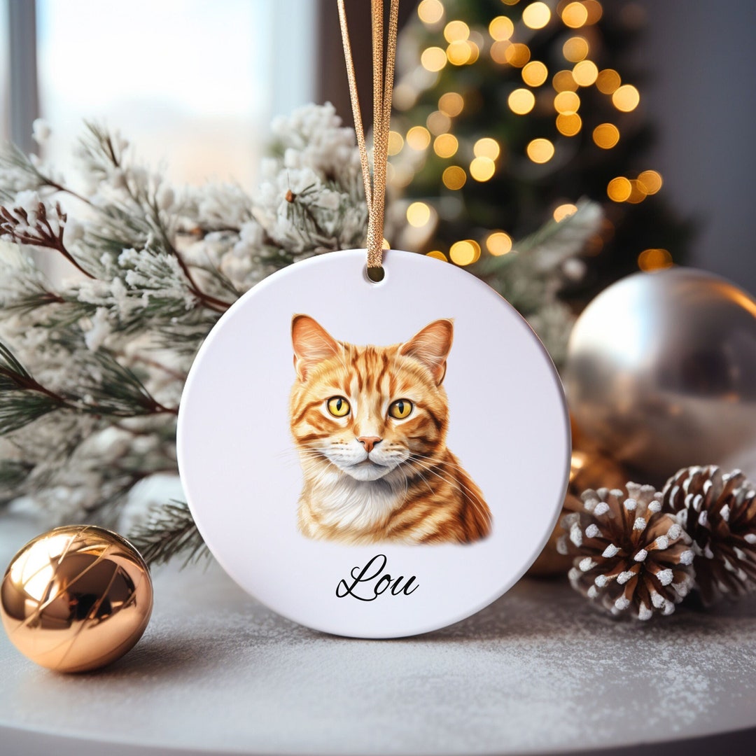 Orange Cat Ornament, Christmas Ornament, Personalized Pet Ornament ...